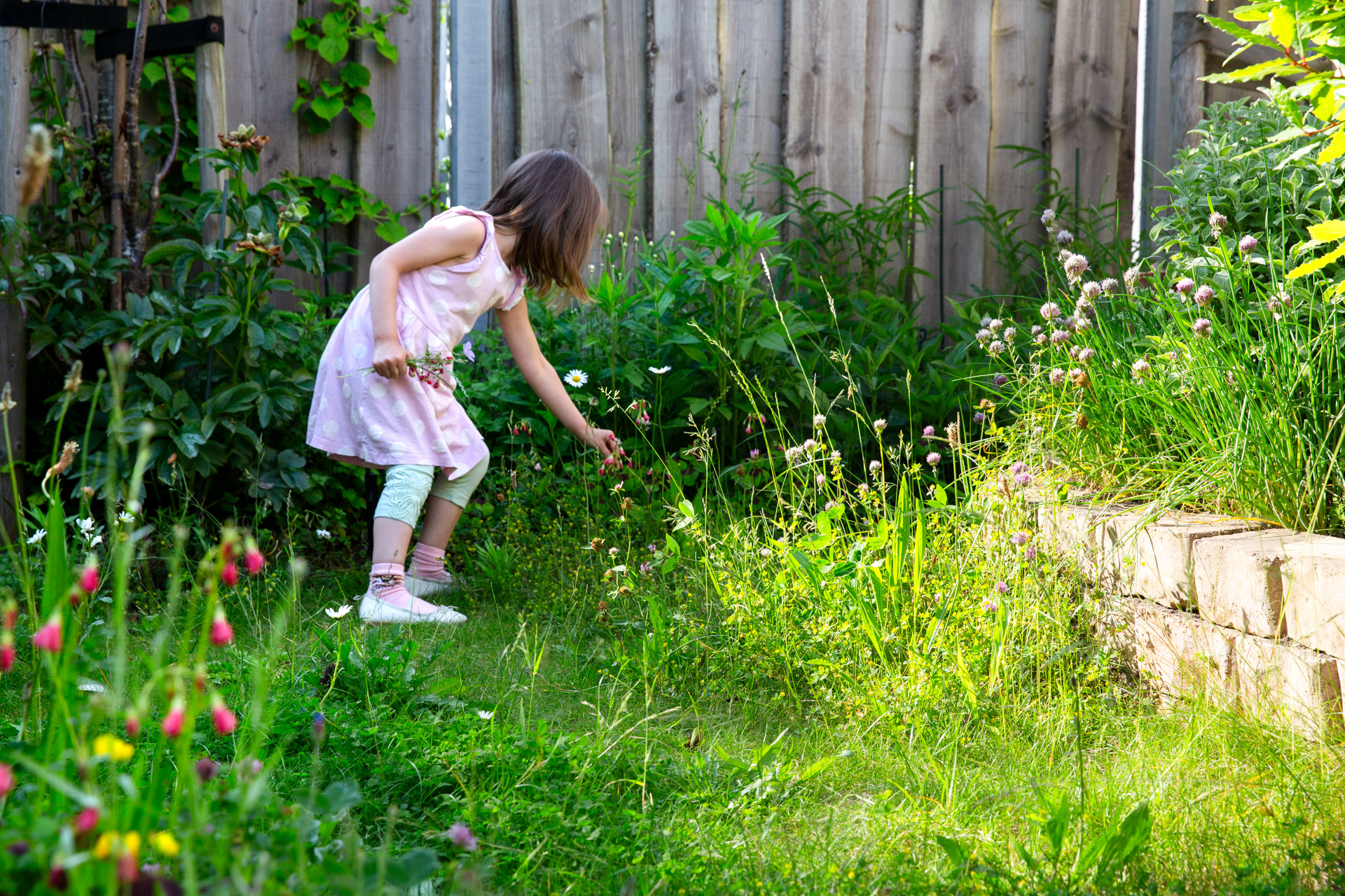 Biodiversiteit: natuur terug in balans | Milieu Centraal